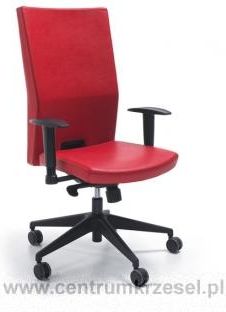 ProfiM fotel Plus New 11S - Opinie i atrakcyjne ceny na Ceneo.pl