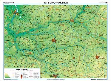 Mapa ścienna Wielkopolska. Mapa regionalna ogólnogeograficzna ...