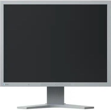 Monitor Eizo 21 FlexScan S2133-GY Szary - Opinie i ceny na Ceneo.pl
