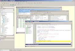 Do programowania Allround Automations PL/SQL Developer 10.0 50 users ...