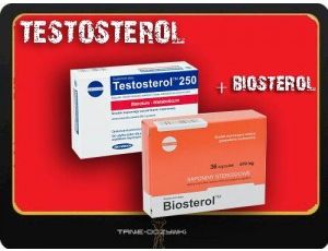 Megabol Biosterol + Testosterol 66 Kaps - Ceny i opinie - Ceneo.pl