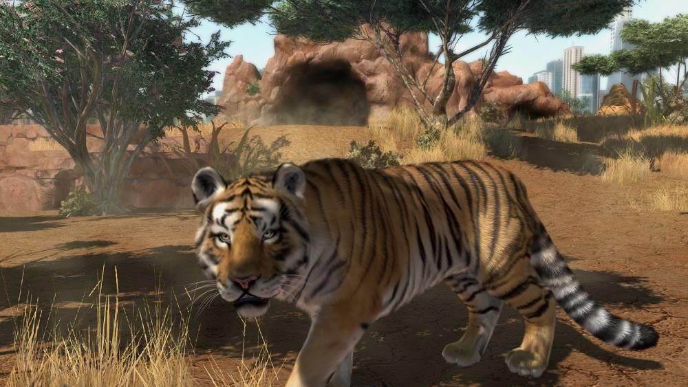 Zoo Tycoon (Gra Xbox One) od 89,00 zł - Ceny i opinie - Ceneo.pl