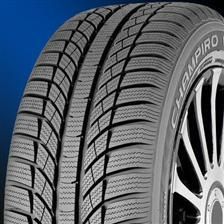 Opony zimowe Gt radial CHAMPIRO WINTERPRO 195/65R15 91T - Sklepy, opinie i ceny na Ceneo.pl