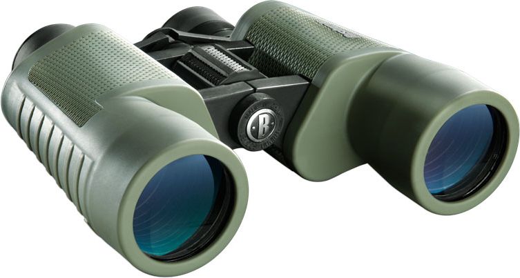 Lornetka Bushnell NatureView Backyard Birder 8x40 (220840) - Ceny i ...