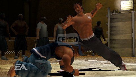 Def Jam Fight for NY: The Takeover (Gra PSP) - Ceneo.pl