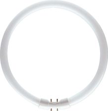 Philips Master TL5 Circular 55W/830 kołowe 8711500642790 - Opinie i ...