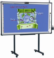 Tablica interaktywna Interwrite DualBoard 1295 - Ceny i opinie - Ceneo.pl