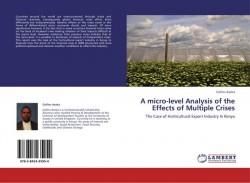 A micro-level Analysis of the Effects of Multiple Crises - Literatura ...