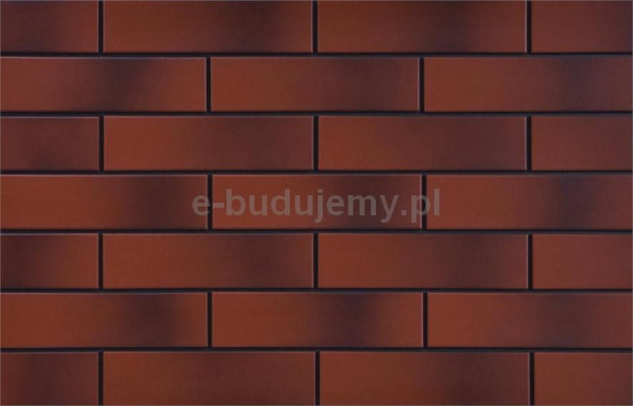Płytki CERRAD Rot 245x65x6,9mm - Opinie i ceny na Ceneo.pl