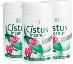 LR World Trójpak Czystek, Cistus Incanus Kapsułki - Opinie i ceny na ...