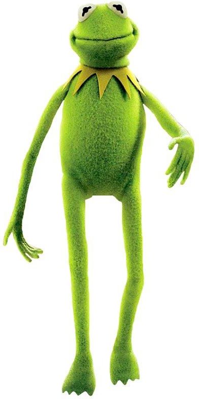 Disney Kermit Flopsi 20 Cm - Ceny i opinie - Ceneo.pl