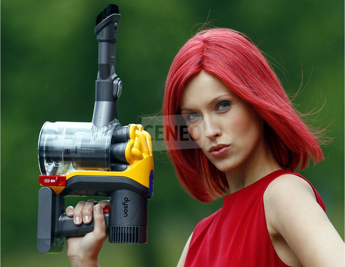 Dyson DC 30 Satin - Opinie i ceny na Ceneo.pl