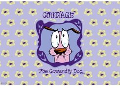 Chojrak - oferty 2024 - Ceneo.pl