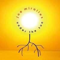 Płyta kompaktowa Joe Miralles - Under The Sun (CD) - Ceny i opinie ...