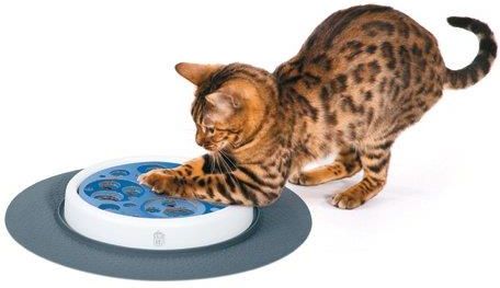 Catit Design Senses Drapaczka dla kota - Ceny i opinie - Ceneo.pl