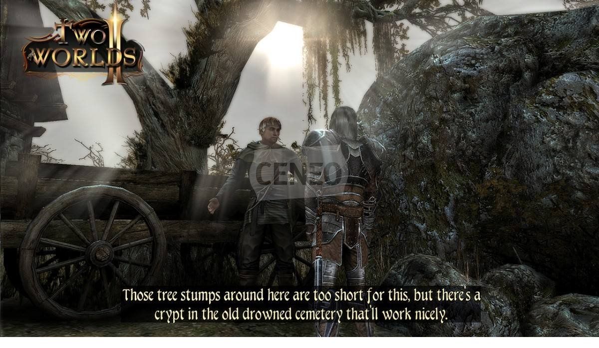 Two Worlds II (Gra PS3) - Ceneo.pl
