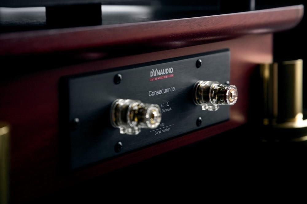 Dynaudio Consequence Ultimate Edition Rosewood - Opinie i ceny na Ceneo.pl