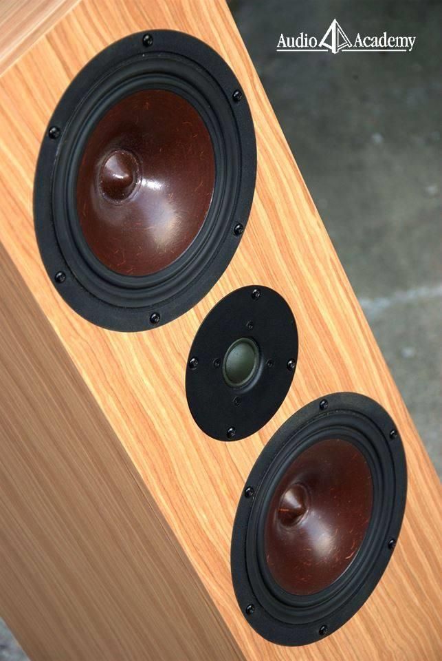 Audio Academy Rhea - Opinie i ceny na Ceneo.pl