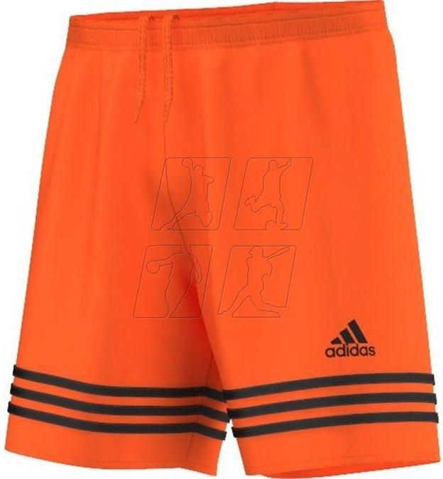Spodenki piłkarskie adidas Entrada 14 Junior F50634 - Ceny i opinie ...