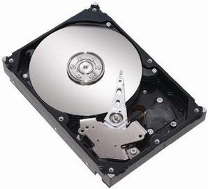 Dysk twardy Maxtor DiamondMax 20 160GB 2MB (STM3160212A) - Opinie i ...