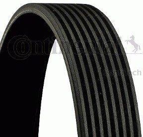 CONTITECH 8PK1450 Pasek klinowy wielorowkowy (8PK1450) - Opinie i ceny ...