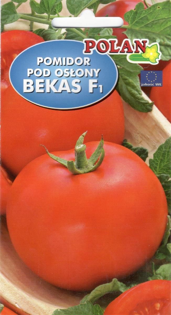 Polan Pomidor Szklarniowy Bekas F1 Czerwony Wczesny 0,5g - Ceny i opinie - Ceneo.pl