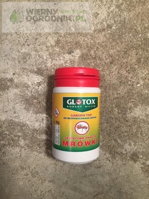 Glotox Proszek Na Mrówki 100g - Ceny i opinie - Ceneo.pl