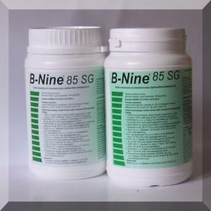 Nawóz Chemtura B-nine 85sg 1kg - Ceny i opinie - Ceneo.pl