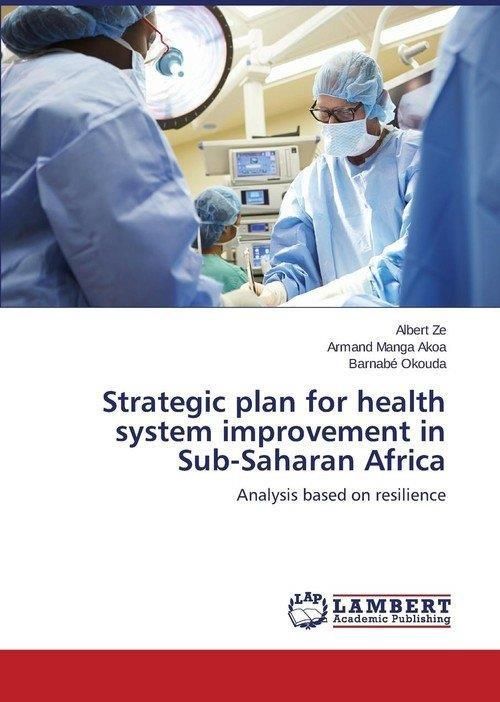 Strategic Plan for Health System Improvement in Sub-Saharan Africa ...
