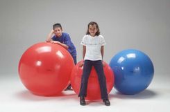 Ledraplastic Piłka Gymnic Physio - Ceny i opinie - Ceneo.pl