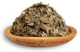 Herbapol Kraków Herbatka Liść Miłorzębu 50g - Opinie i ceny na Ceneo.pl