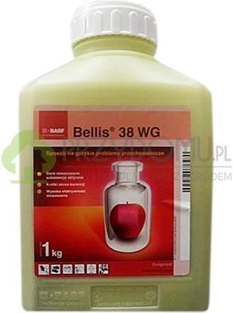 Basf Polska Bellis 38 Wg 1kg - Ceny i opinie - Ceneo.pl
