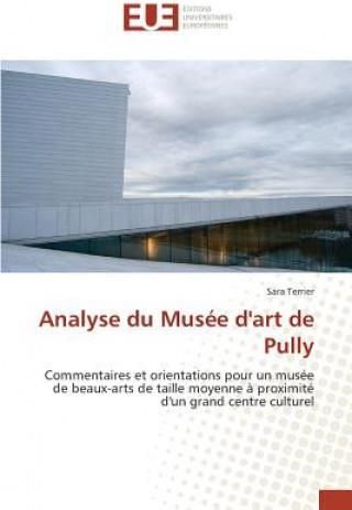 Analyse Du Musee D'Art de Pully - Literatura obcojęzyczna - Ceny i ...