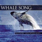 Płyta kompaktowa Różni Wykonawcy - Whale Song (CD) - Ceny i opinie ...