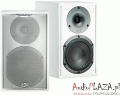 Cabasse StreamAMP 100 + Cabasse Surf - Opinie i ceny na Ceneo.pl