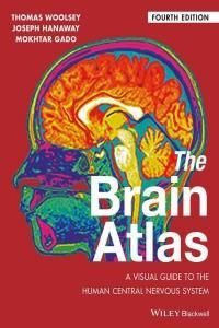 The Brain Atlas A Visual Guide To The Human Central Nervous System ...