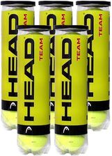 5 x piłki tenisowe HEAD TEAM x4 - Ceny i opinie - Ceneo.pl