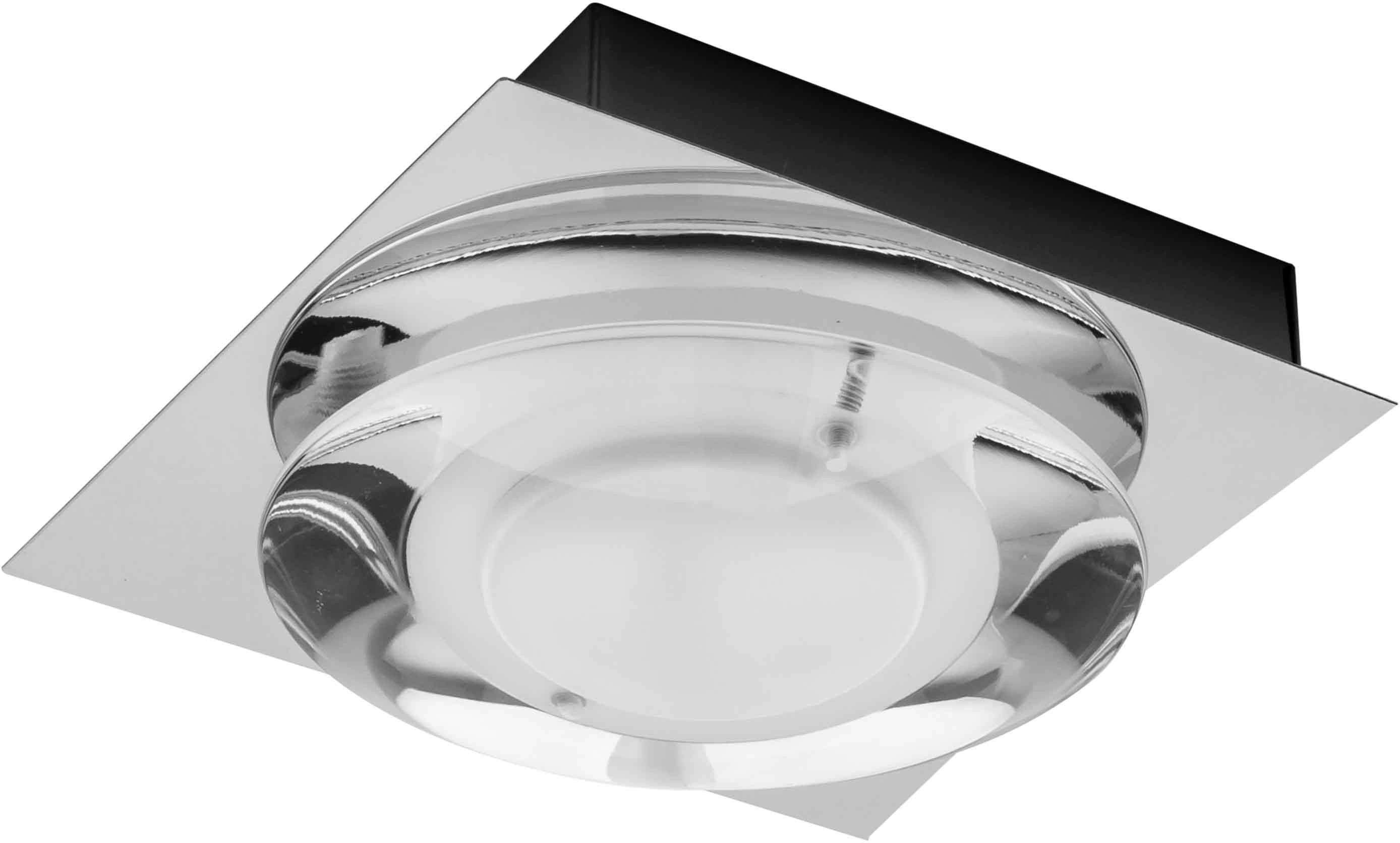 Spot Light Primo LED 9029128 - Opinie i atrakcyjne ceny na Ceneo.pl