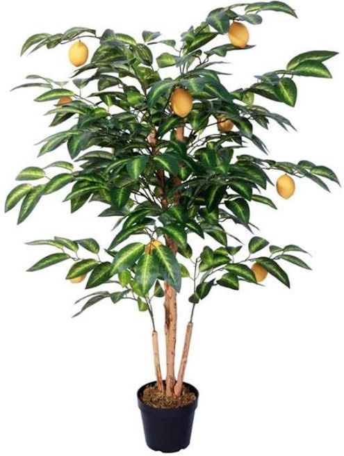 SZTUCZNE DRZEWKO CYTRYNOWE 125 CM DRZEWO CYTRYNA - 125 cm - Opinie i ...