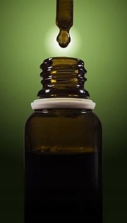 Etja Olej Tamanu Nierafinowany Bio 50ml - Opinie i ceny na Ceneo.pl