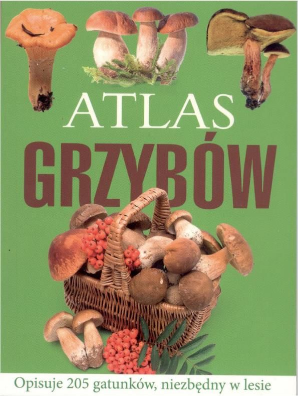 ATLAS GRZYBÓW - Ceny i opinie - Ceneo.pl