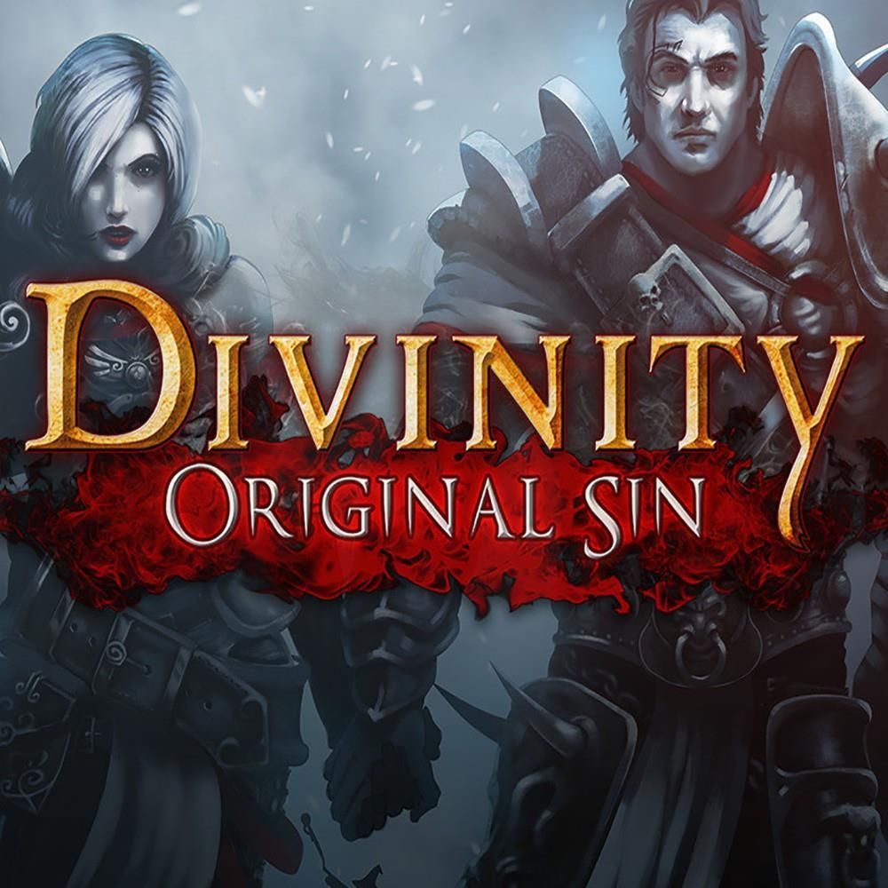 Divinity: Original Sin - Source Hunter (Digital) od 20,06 zł, opinie ...