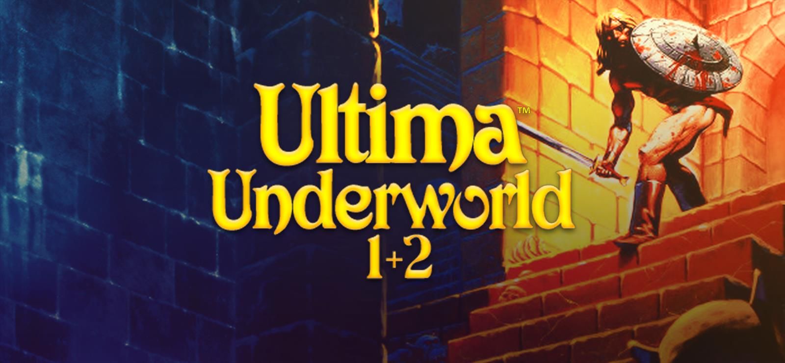 Ultima Underworld 1+2 (Digital) od 19,07 zł, opinie - Ceneo.pl