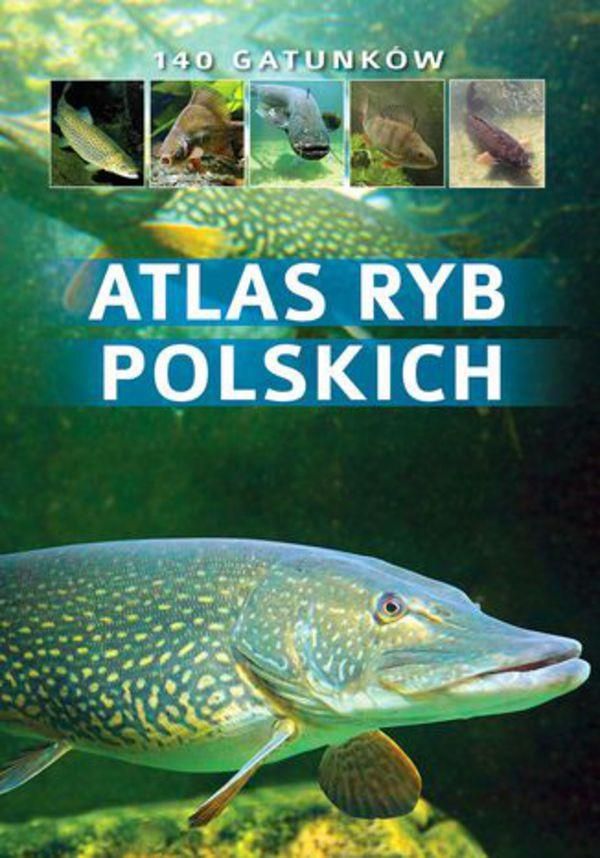 Atlas ryb polskich - Ceny i opinie - Ceneo.pl