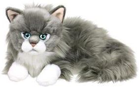 Anna Club Plush Kot Ragdoll Szary 25Cm 211019 - Ceny i opinie - Ceneo.pl