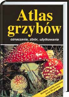 Atlas grzybów - Ceny i opinie - Ceneo.pl