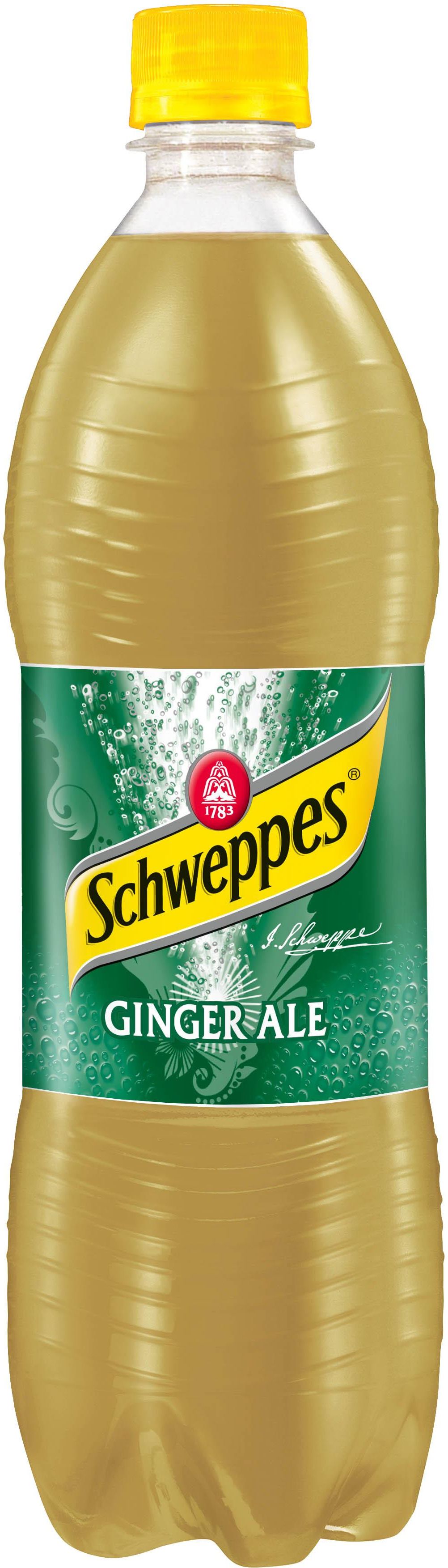 Schweppes Ginger Ale 1 L - Ceny i opinie - Ceneo.pl