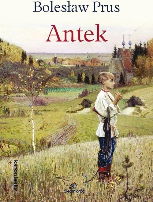 Książka Antek - Ceny i opinie - Ceneo.pl