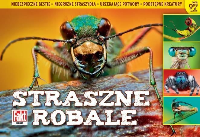 Straszne robale - Ceny i opinie - Ceneo.pl