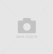 Książka Korekty Vat Cit Pit - Katarzyna Trzpioła. Bogdan Świąder ...